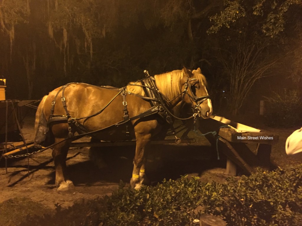 Resort Hotel Activities: Horse-Drawn Carriage Rides
