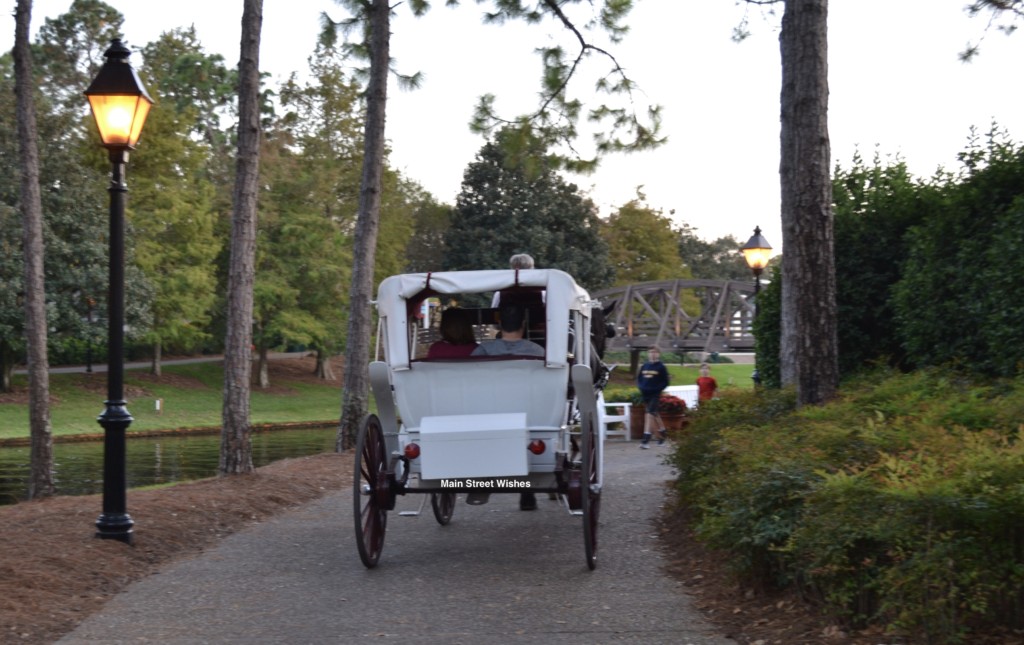 Resort Hotel Activities: Horse-Drawn Carriage Rides
